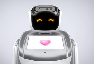 Robot rentals | Rent a robot, meet robots by hiring them